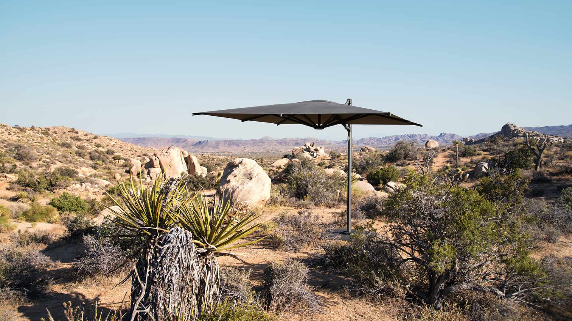 Dedon: comfortabele (buiten)stoelen van topkwaliteit | Dacks